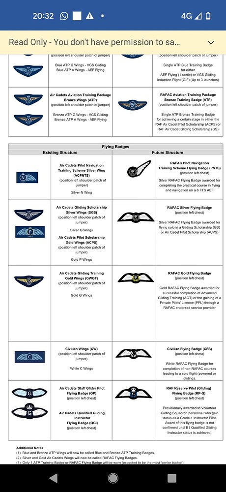 New Cadet Flying Badges - The Staff Mess - Air Cadet Central