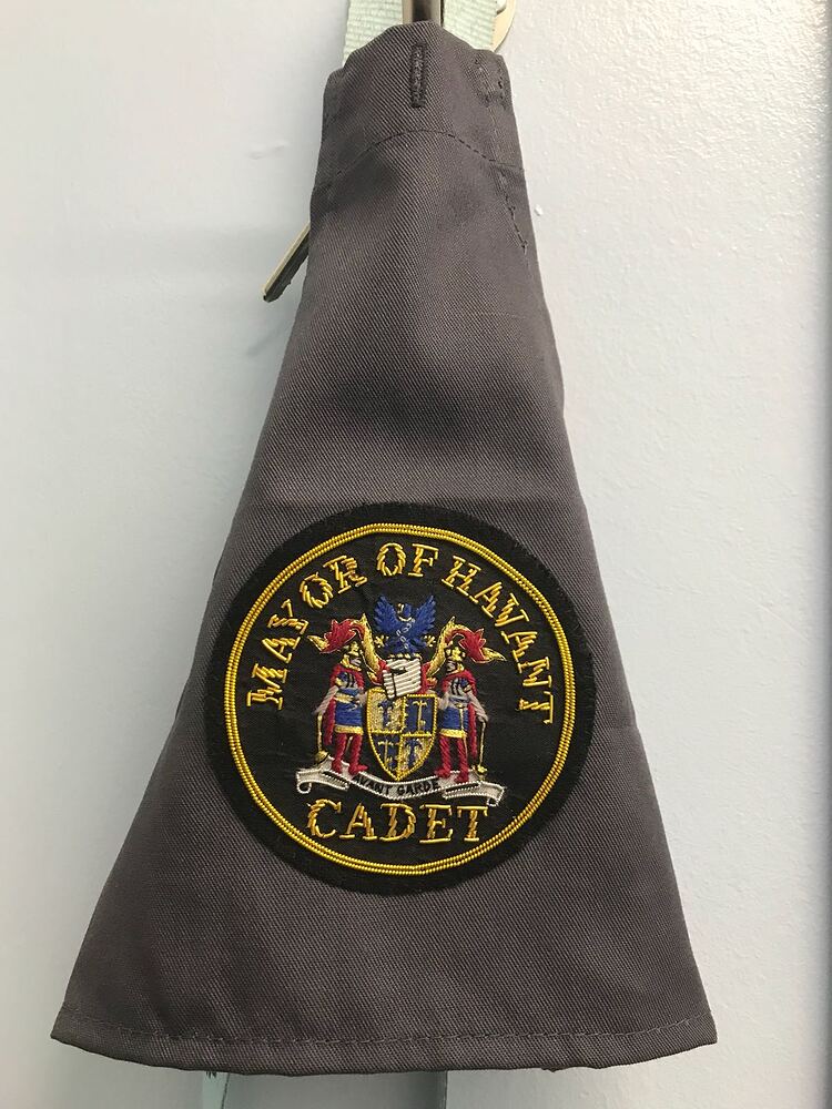 Mayor's Cadet Badges - Uniform and Drill - Air Cadet Central