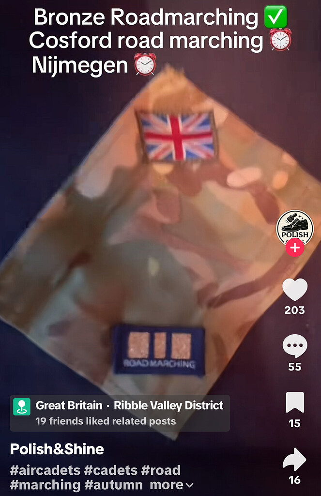 Road Marching Badges on Blanking Plates - Uniform and Drill - Air Cadet ...