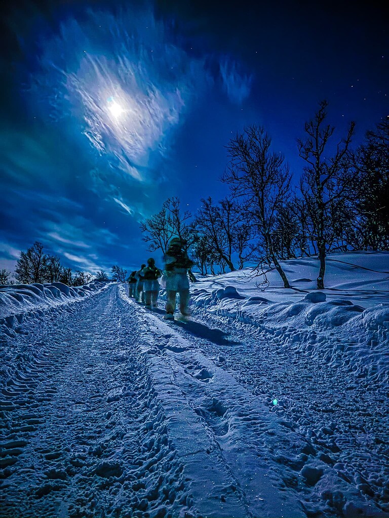 RAF Regiment return to the arctic - News and Current Affairs - Air ...